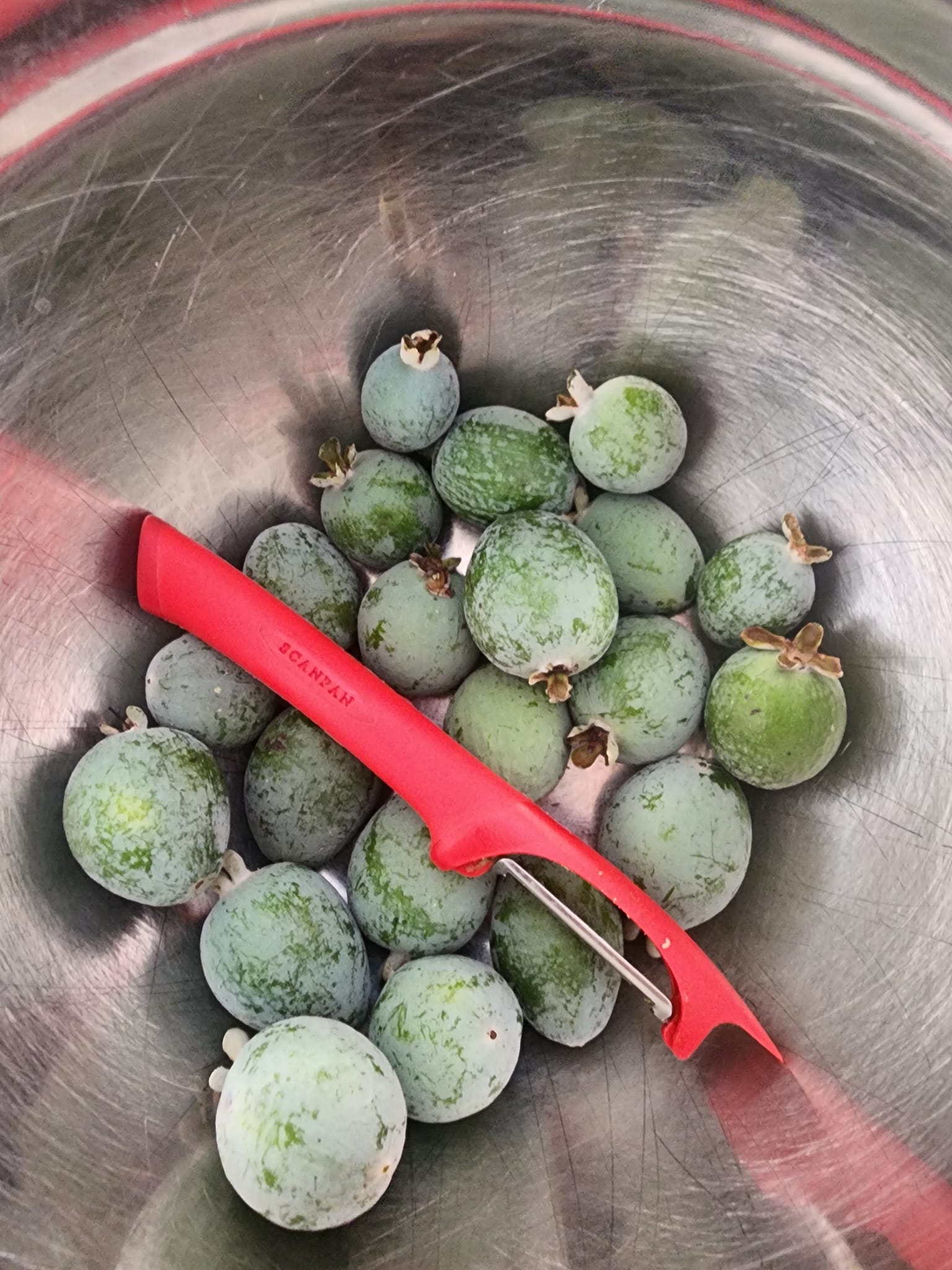 About - simplyfeijoa